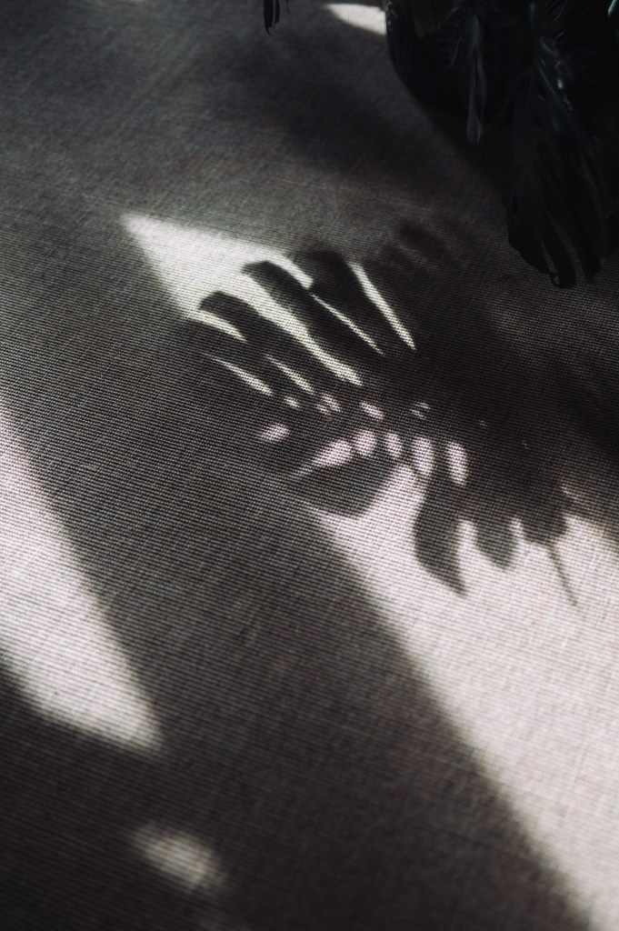 Working at SkyNRG with Sustainable Aviation Fuel – SkyNRG